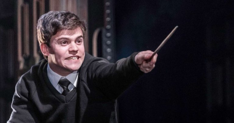 Does the new Harry Potter ride NEED Harry Potter?