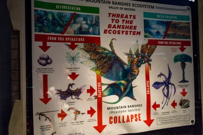 Avatar Flight of Passage in Pandora: The World of Avatar at Disney's ...