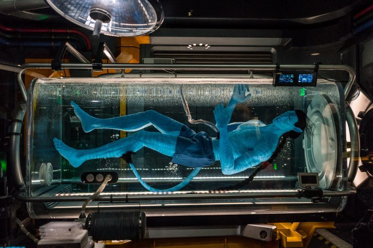 Pandora: The World of Avatar at Disney's Animal Kingdom – Overview and ...