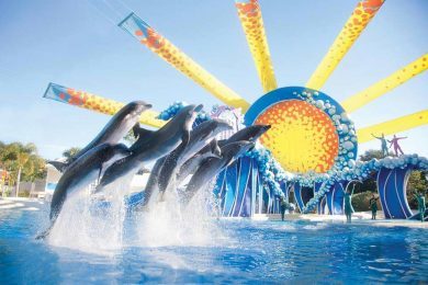 SeaWorld’s plans for the future include taking over China