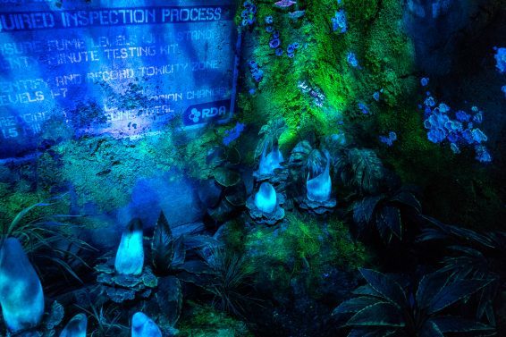 Pandora: The World of Avatar at night at Disney’s Animal Kingdom ...