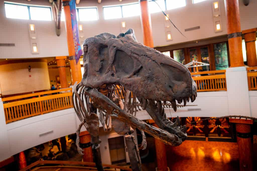 Jurassic Park Discovery Center at Universal's Islands of Adventure