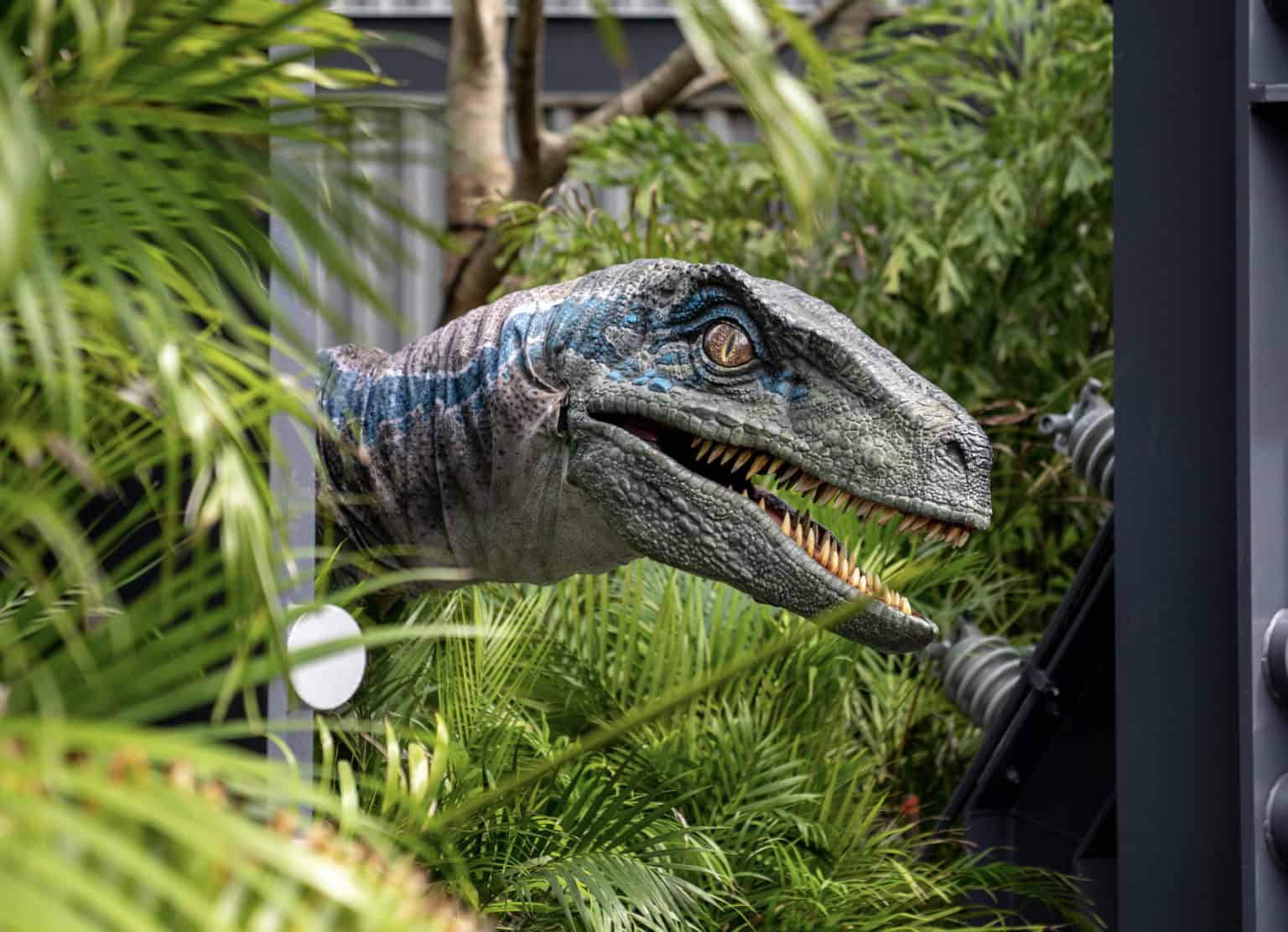 Raptor Encounter at Universal Islands of Adventure | Orlando Informer