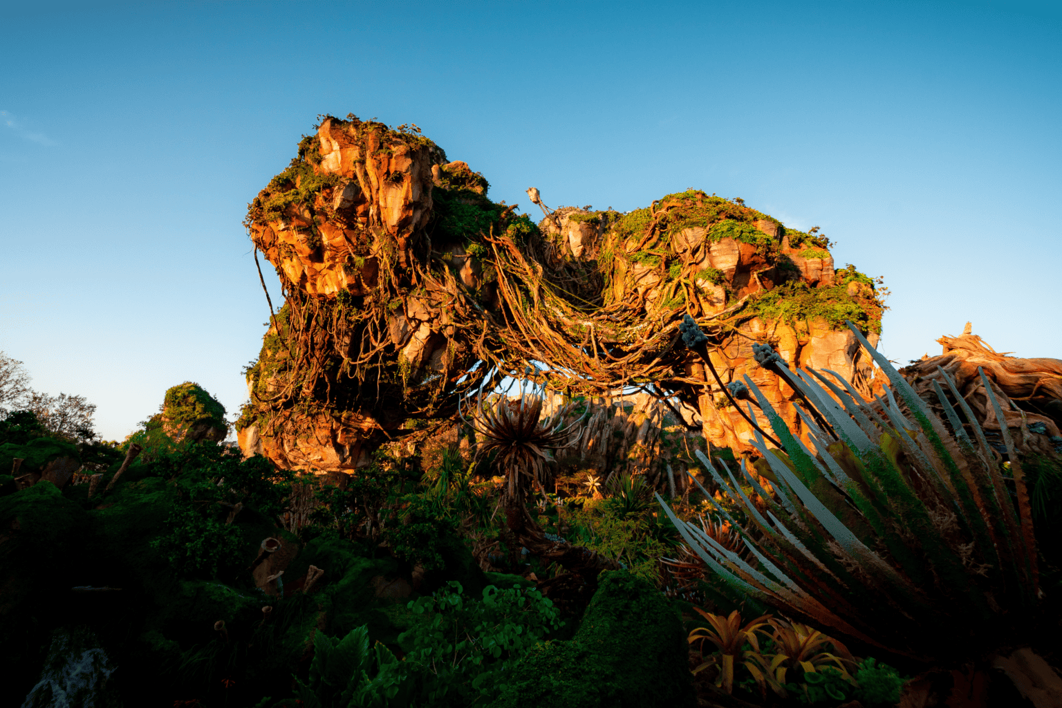 Park hopping set to return to Walt Disney World next year