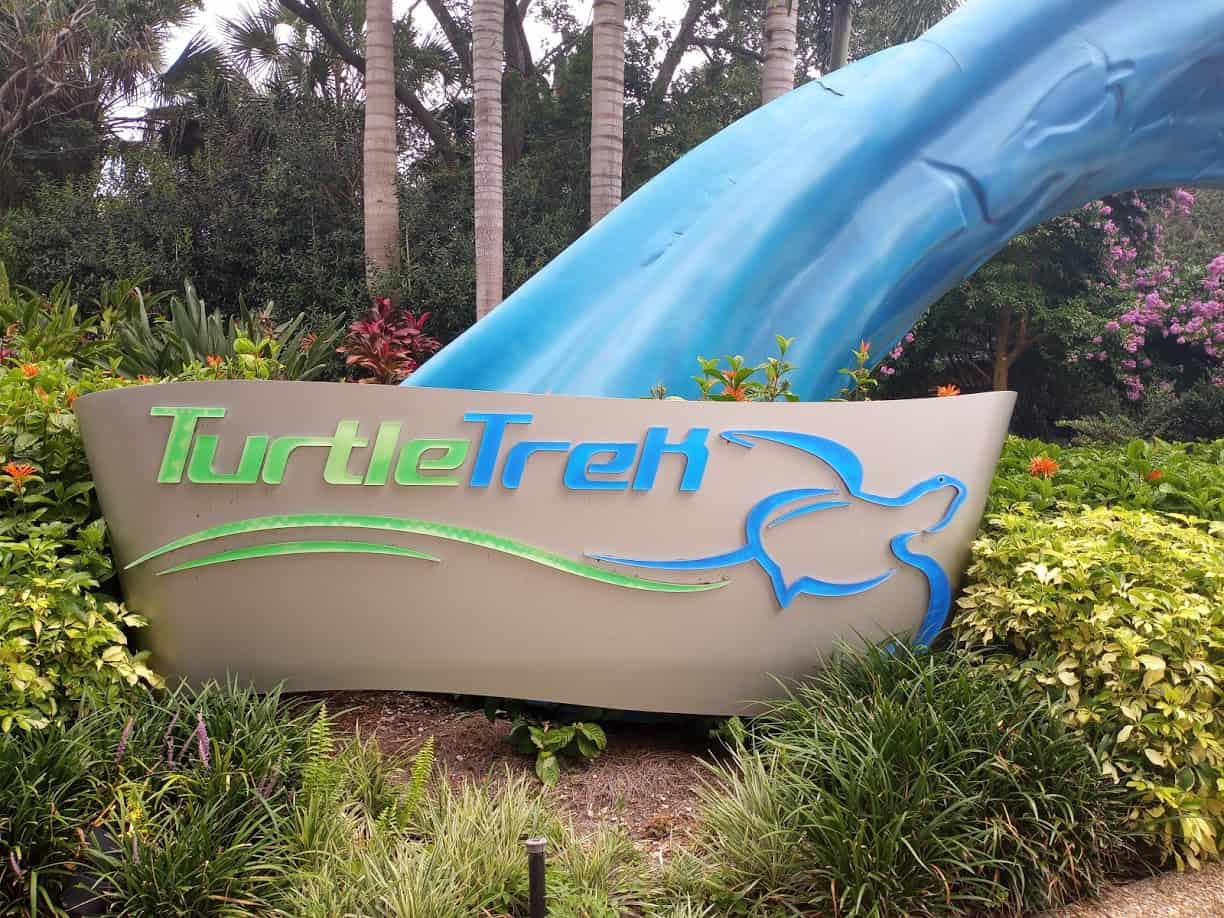 Visit SeaWorld's Antarctica, and Turtle Trek