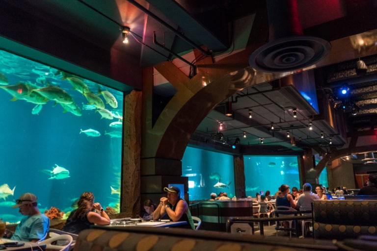 Dining at SeaWorld Orlando | Orlando Informer