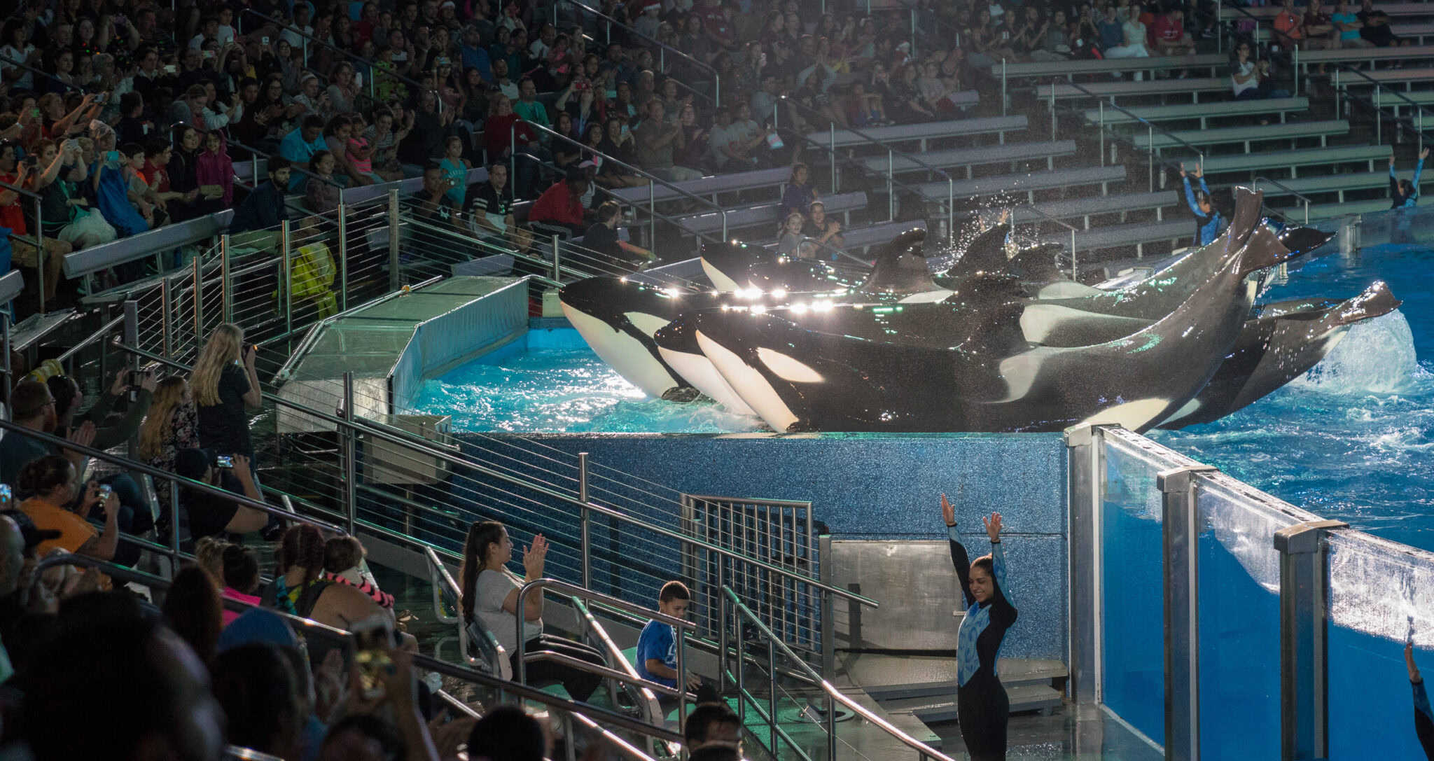 Dining at SeaWorld Orlando | Orlando Informer