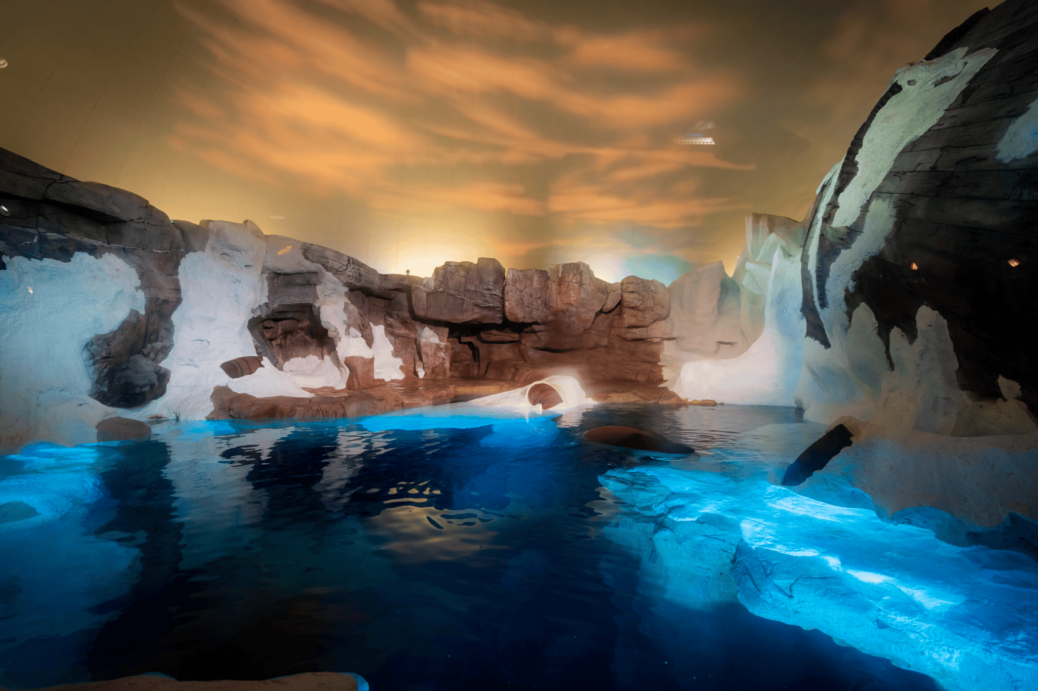 Wild Arctic at SeaWorld Orlando | Orlando Informer