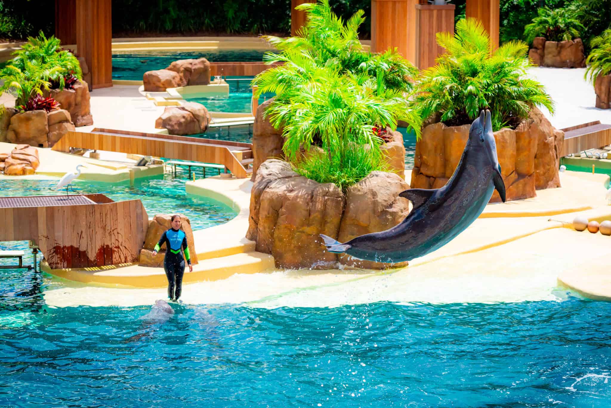 Our Top Ten Tips for Visiting SeaWorld Orlando