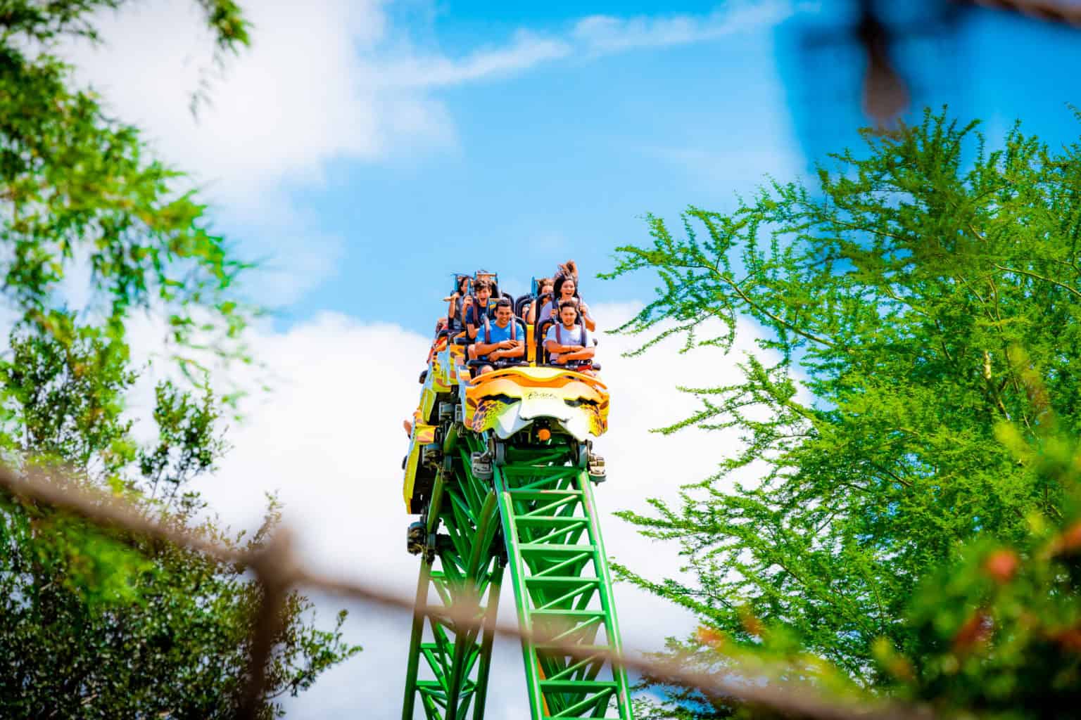 Busch Gardens Tampa Bay: Vacation Planning Tips and FAQ's | Orlando ...