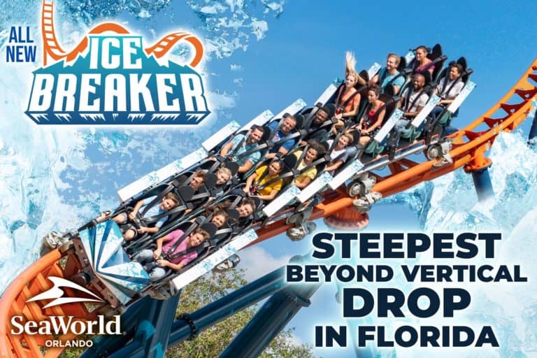 Home | Orlando Informer