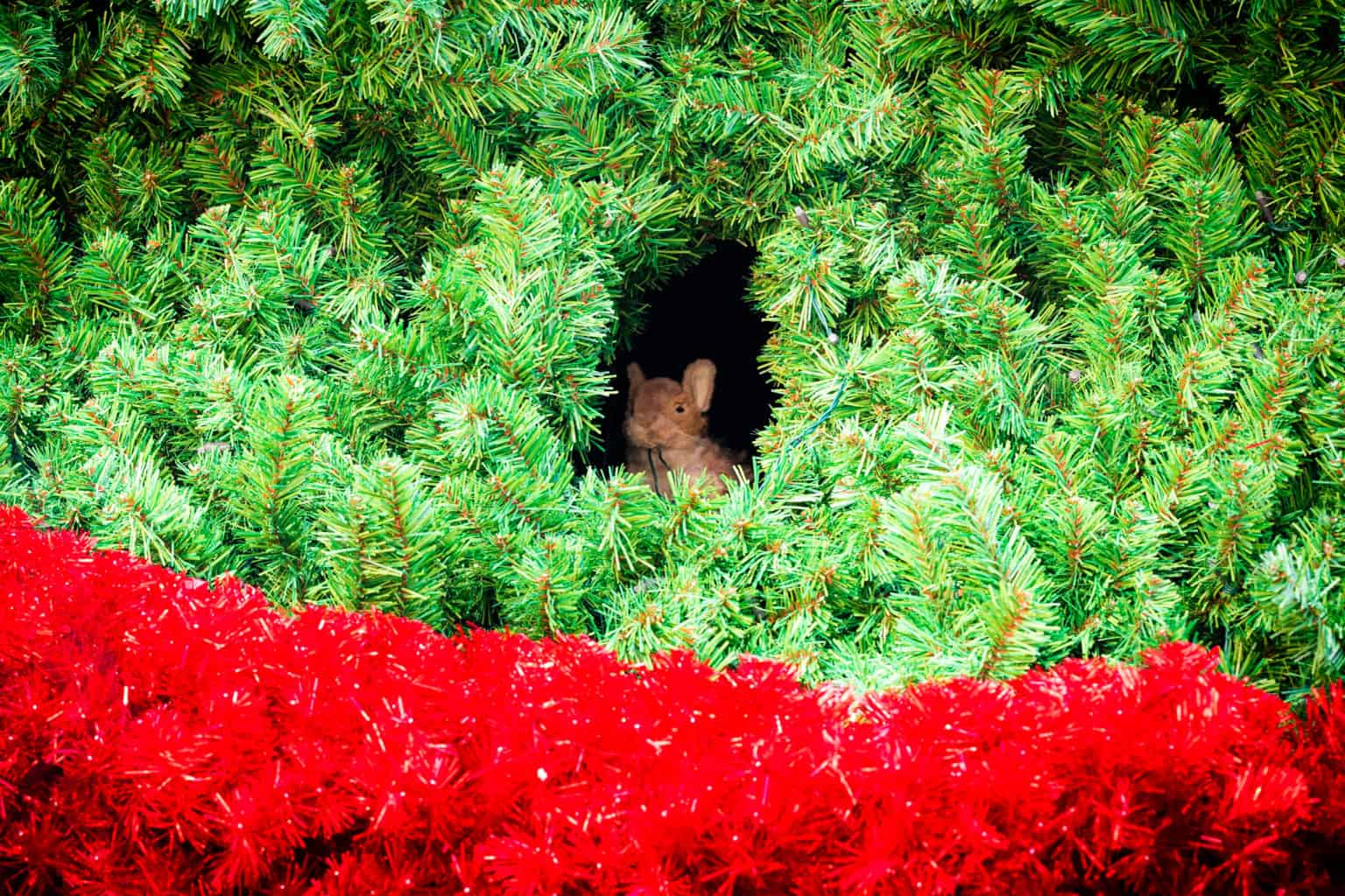 The Complete History of Earl the Squirrel at Universal Studios