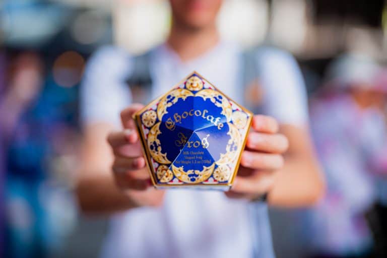 Wizarding World of Harry Potter merchandise - complete guide to Hogsmeade