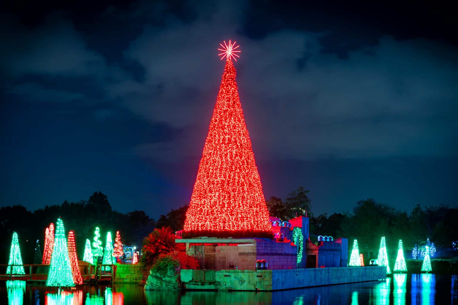 The Best Way to Experience SeaWorld's Christmas Celebration
