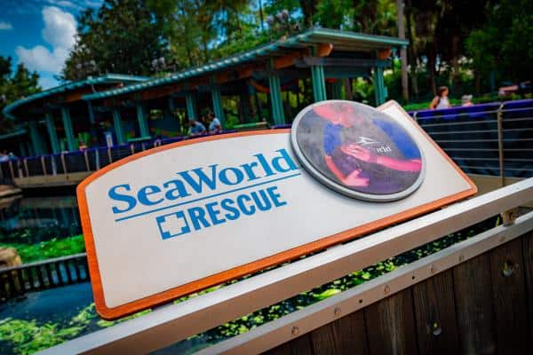 SeaWorld Fun Facts That Will Make Your Day
