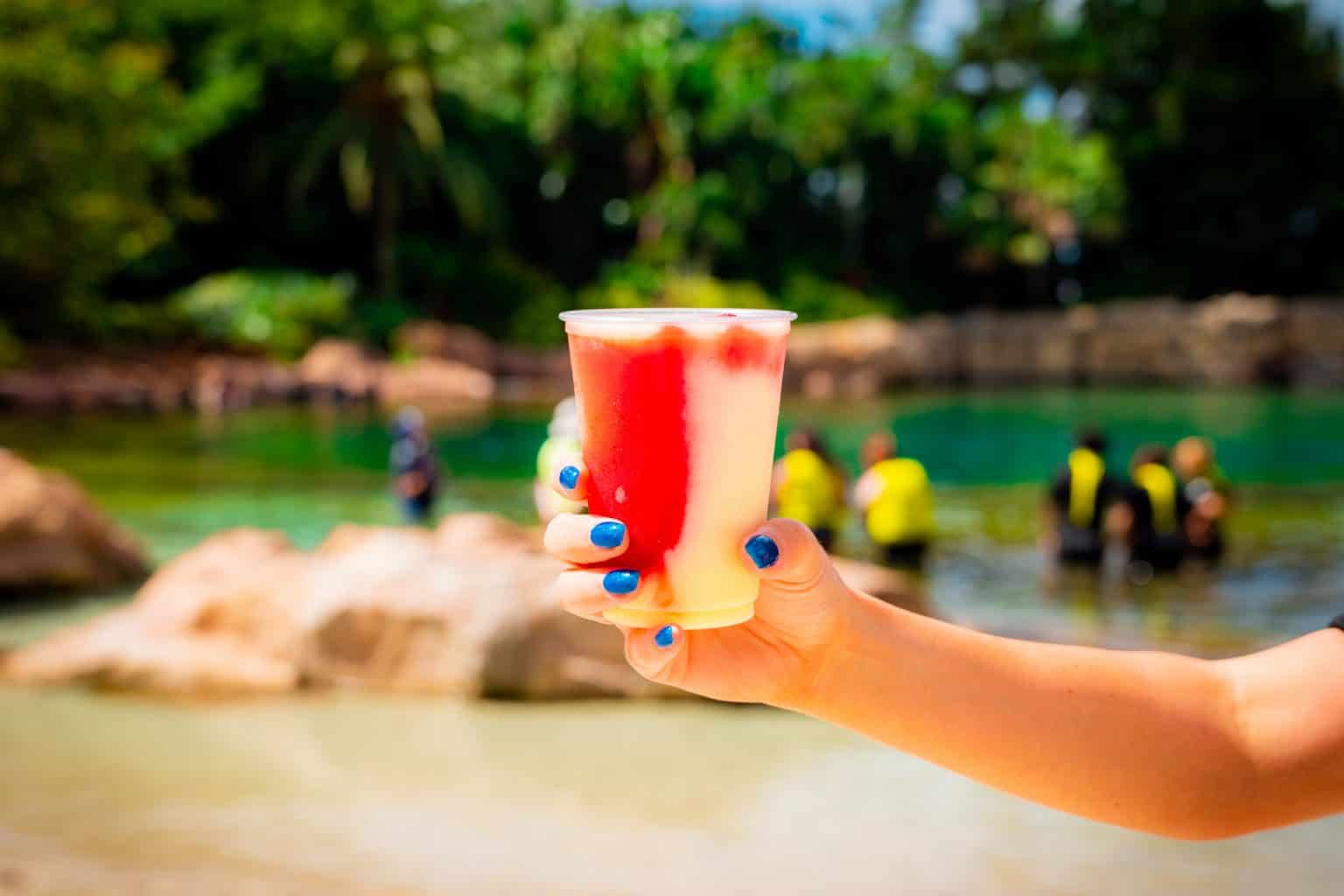 Discovery Cove: Complete Guide and Overview | Orlando Informer