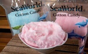 Summer Spectacular at SeaWorld Orlando | Orlando Informer