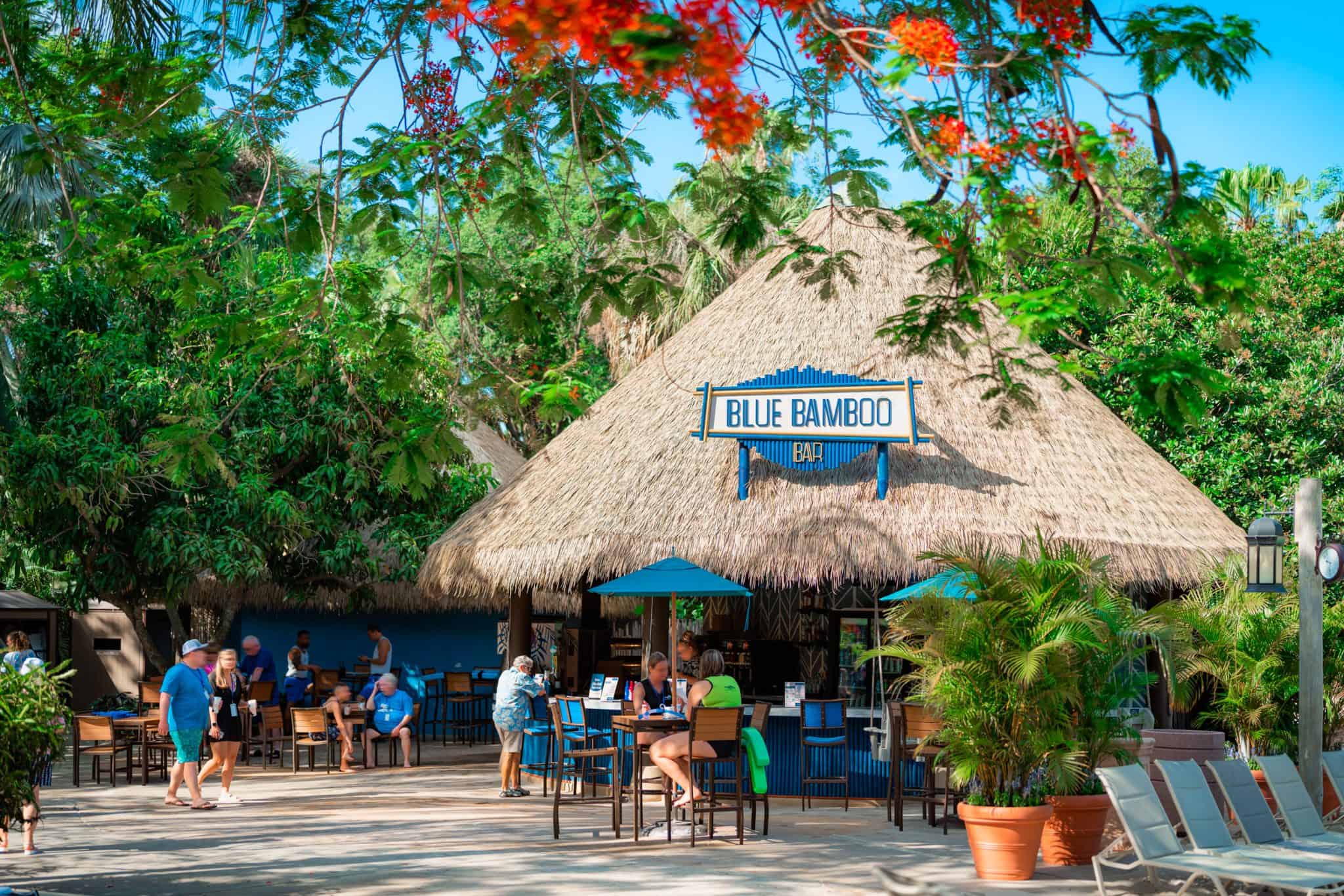 Customize Your Discovery Cove Experience Based on Your Personality