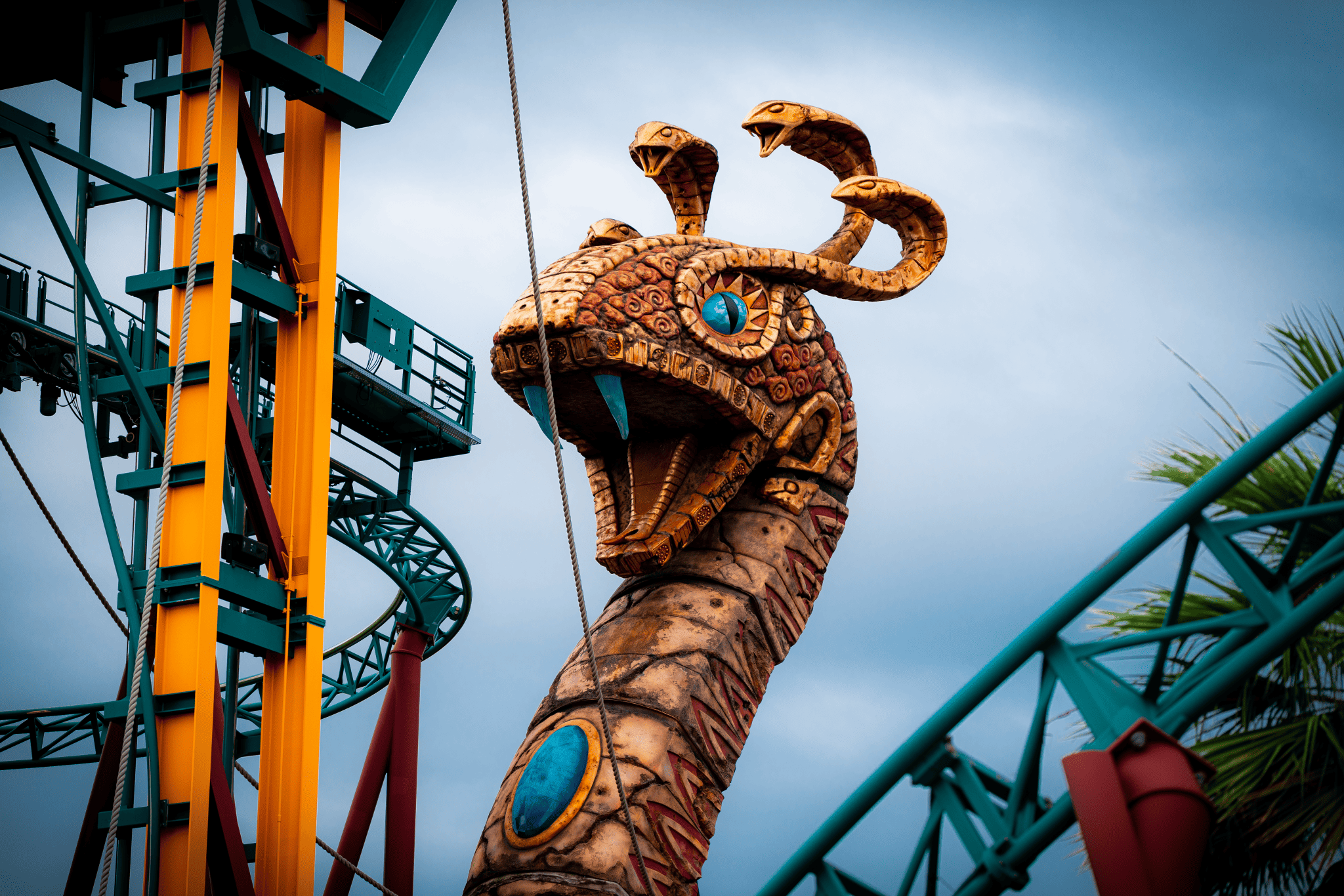 Ranking Every Busch Gardens Tampa Bay Roller Coaster