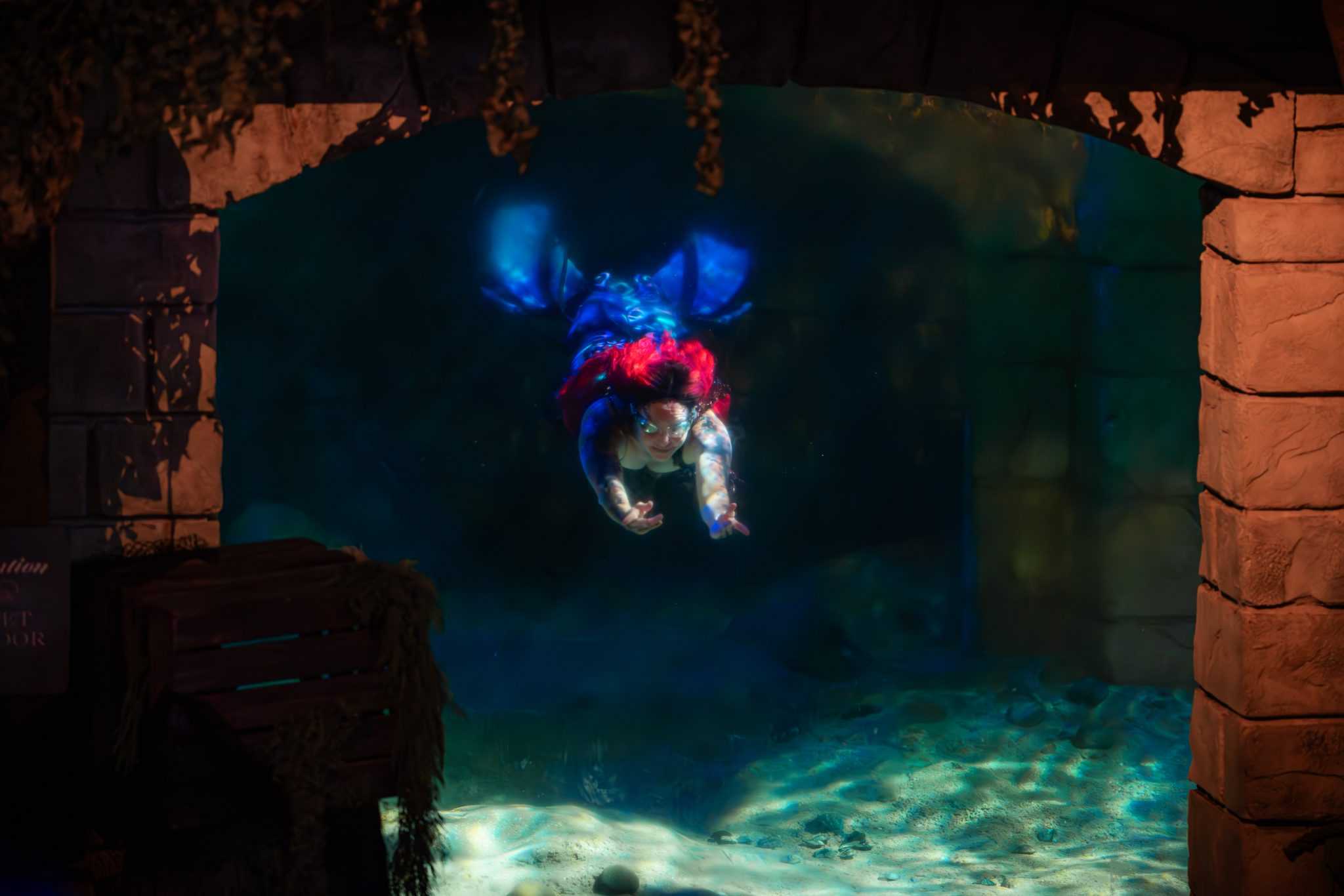 Complete Guide to Howl-O-Scream at SeaWorld Orlando | Orlando Informer