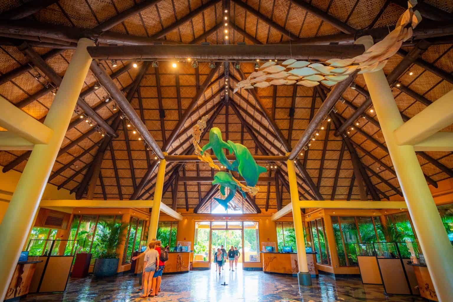 Maximizing Your Day at Discovery Cove