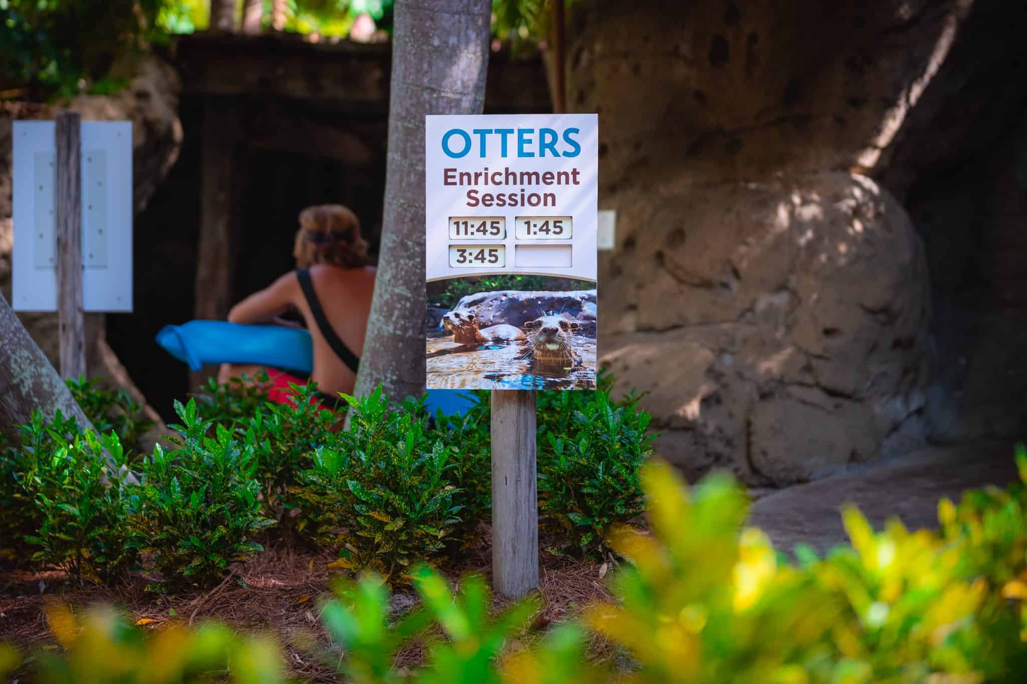 Discover 10 Awesome Animals You Can Meet at Discovery Cove