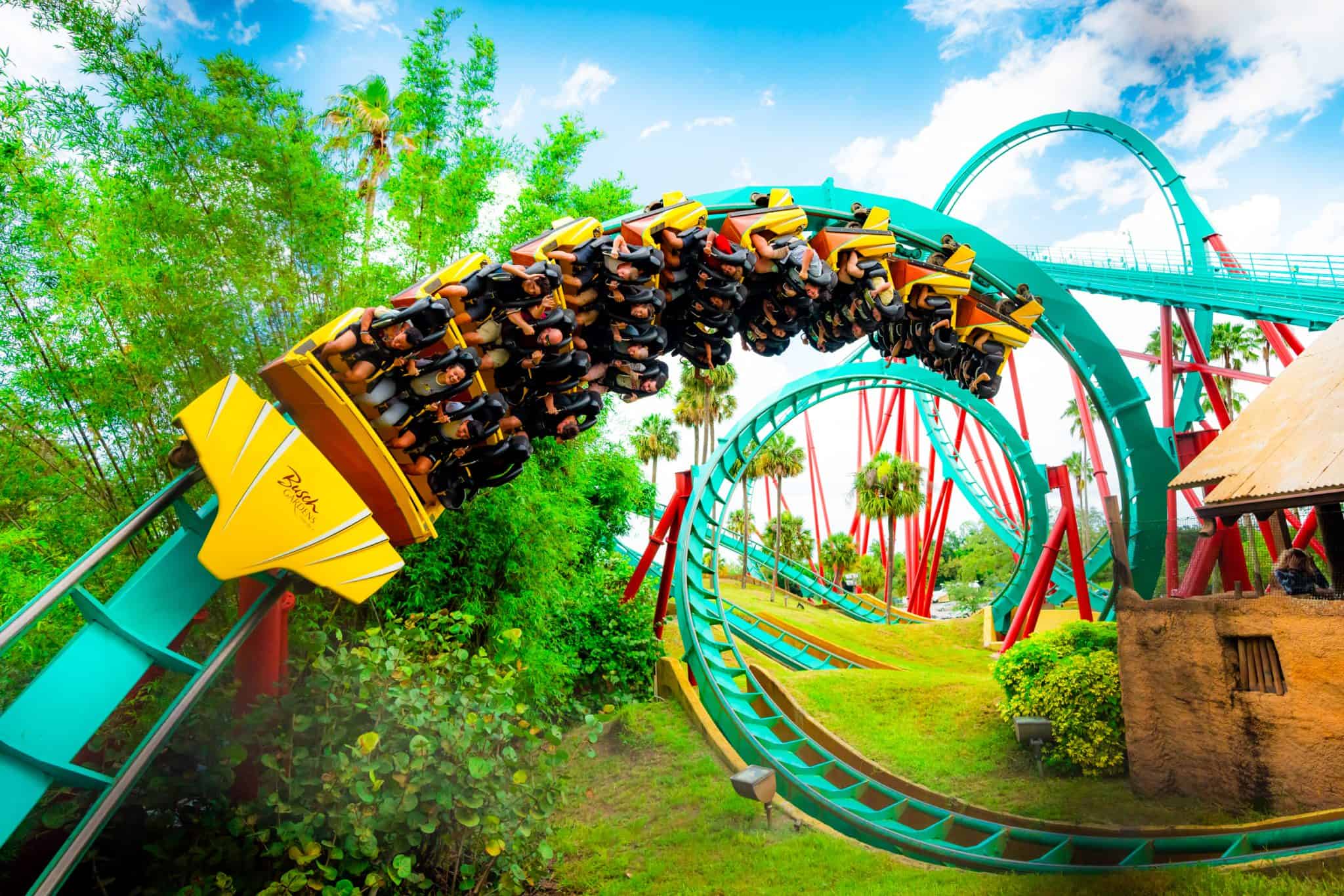 Visit SeaWorld and Busch Gardens in One Weekend: What You Need to Know