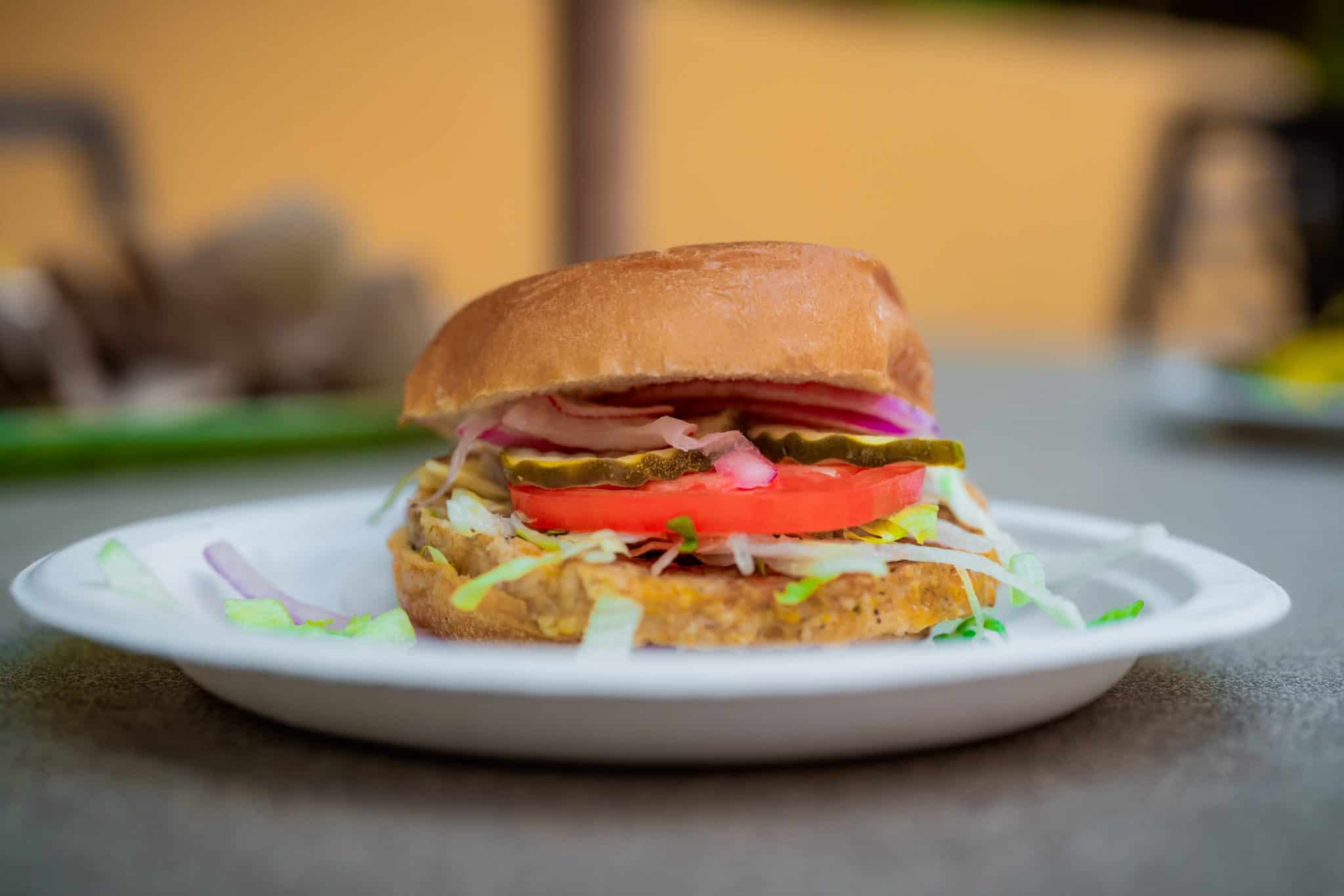Ultimate Food Lover's Guide to Discovery Cove: Savoring Paradise