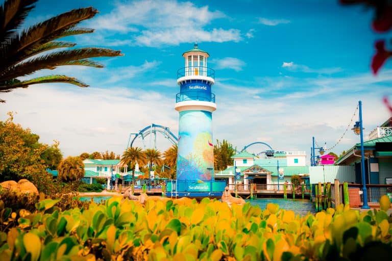 Stores at SeaWorld Orlando: Your Guide to Shopping | Orlando Informer
