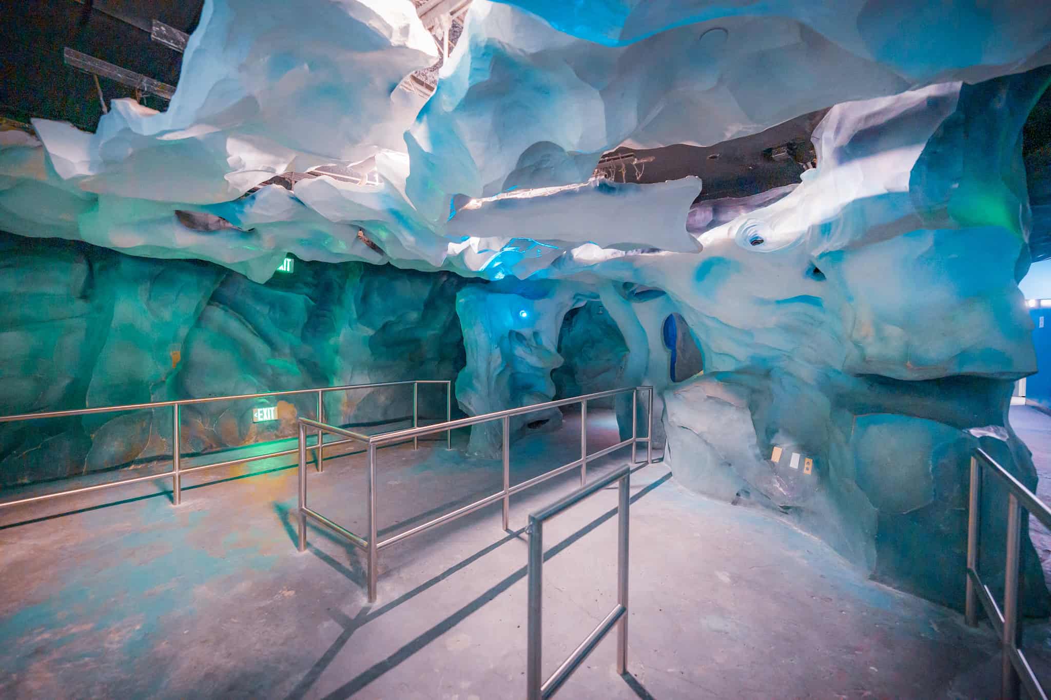 Penguin Trek at SeaWorld Orlando: An In-Depth Review