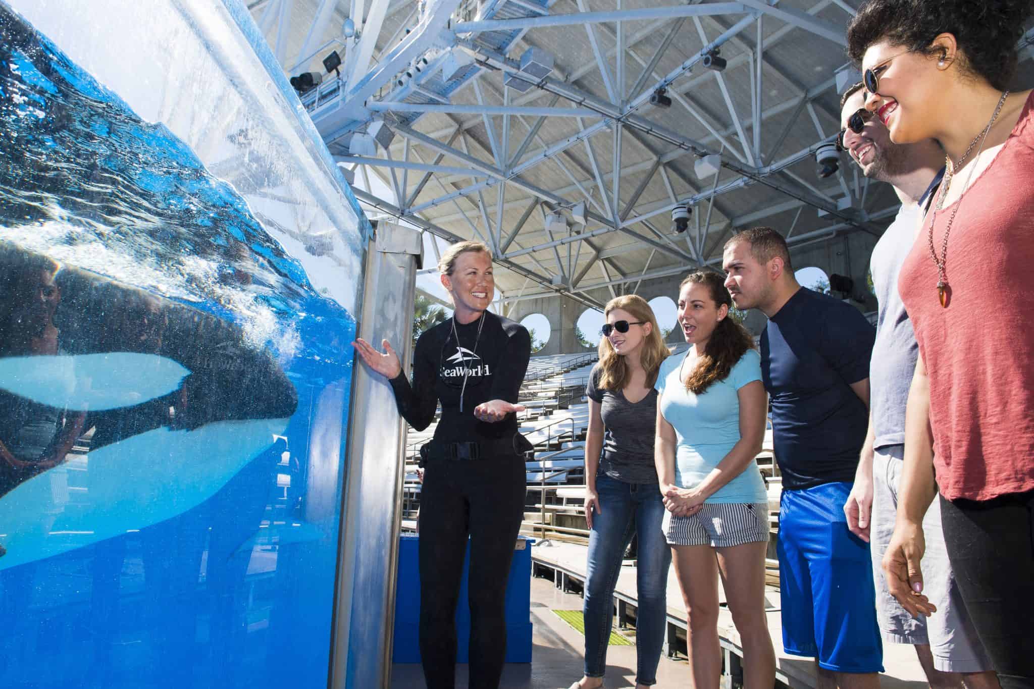 SeaWorld Orlando with Babies and Toddlers: Top Tips