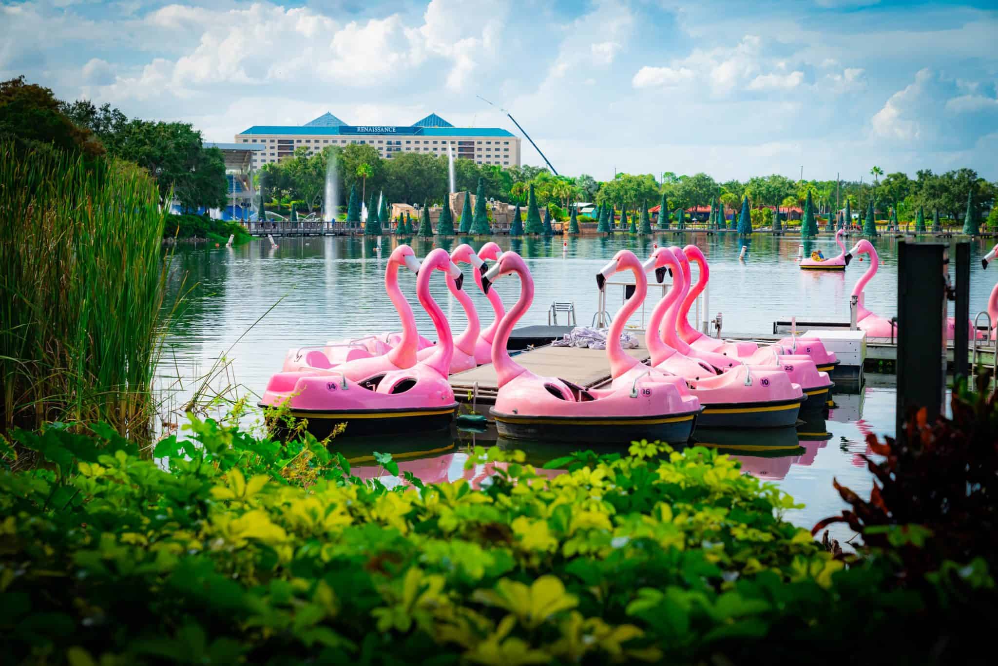 SeaWorld Orlando with Babies and Toddlers: Top Tips