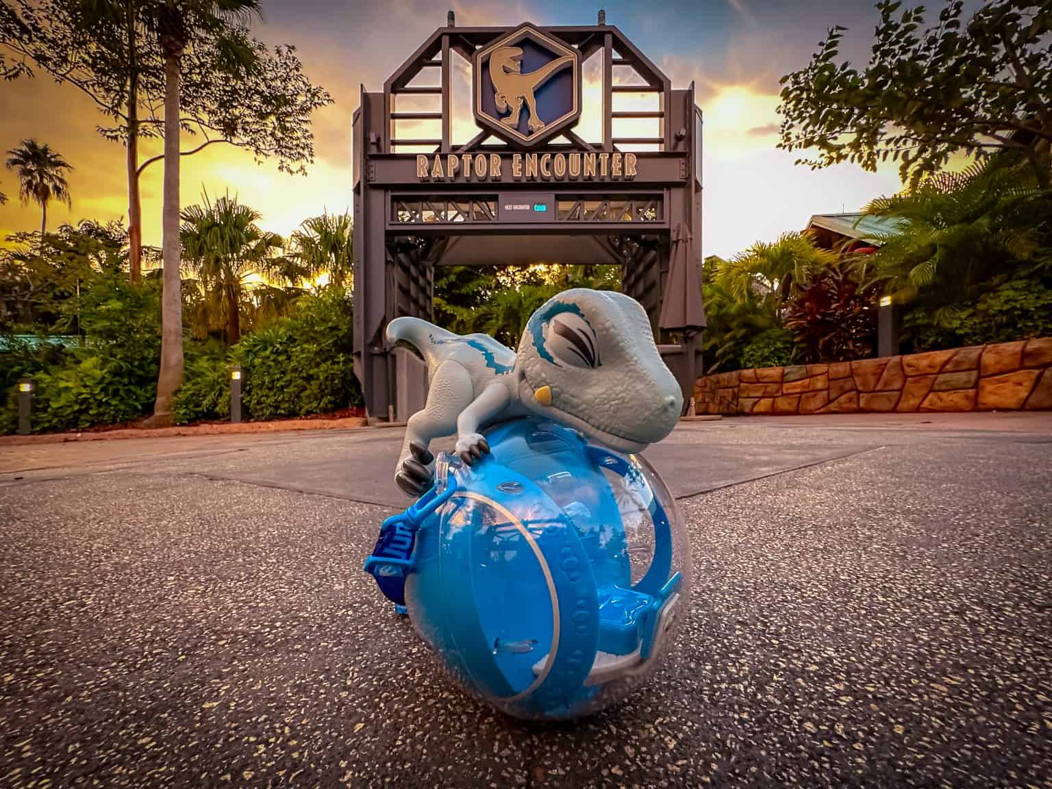 The Best Universal Orlando Souvenirs: Must-Have Merchandise