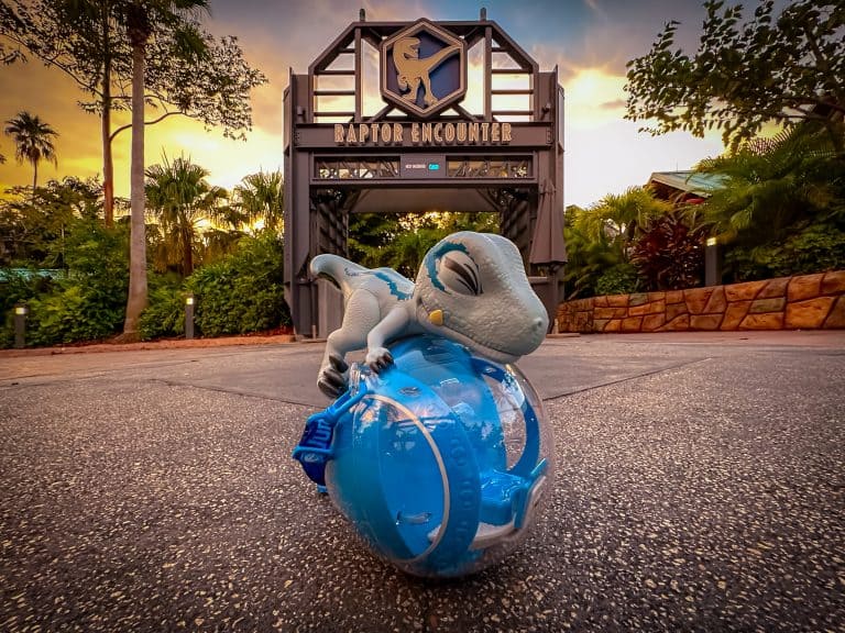 The Best Universal Orlando Souvenirs: Must-Have Merchandise