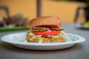 Discovery Cove: Complete Guide and Overview | Orlando Informer