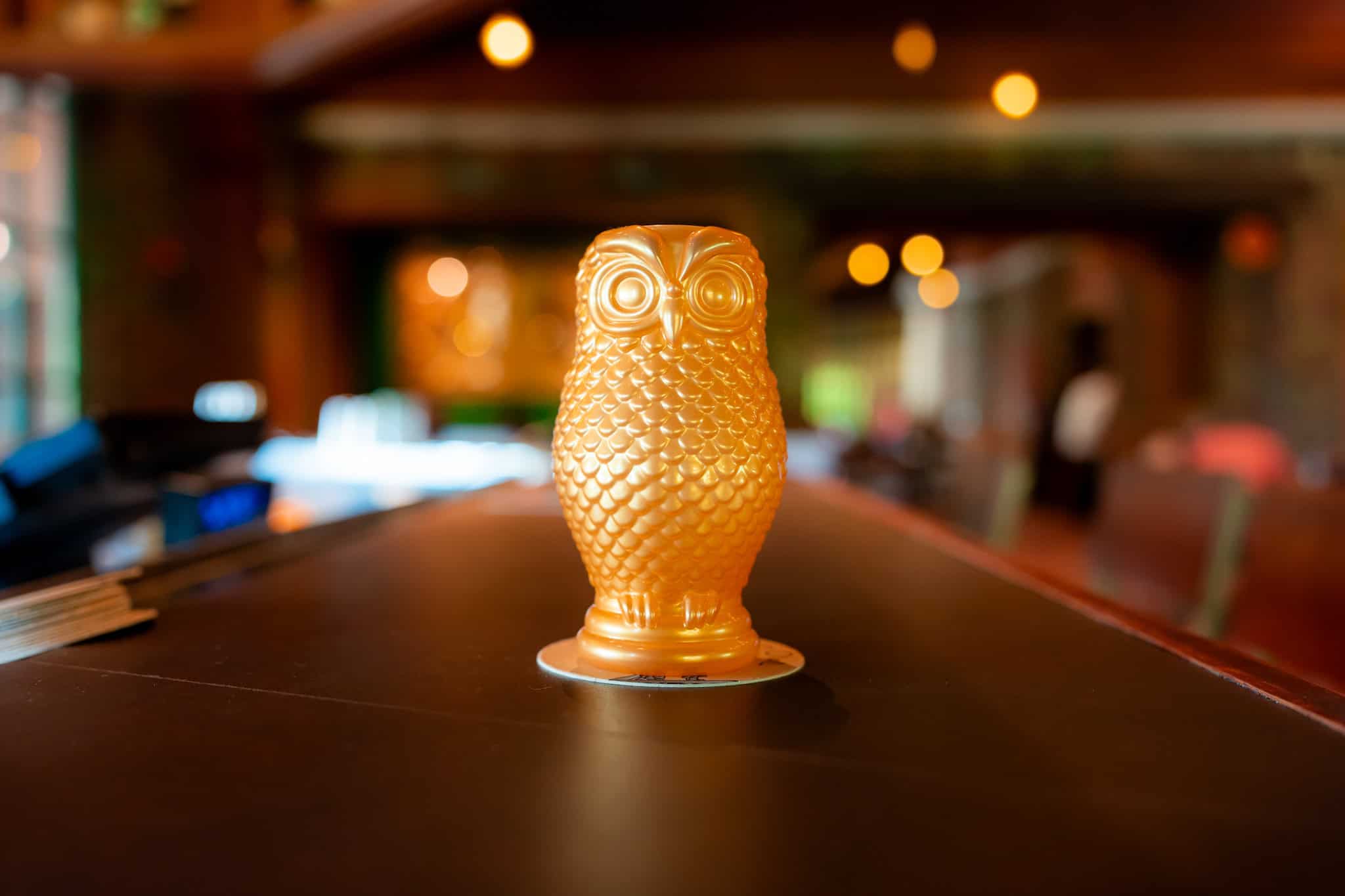 The Plastered Owl at Universal Epic Universe | Orlando Informer